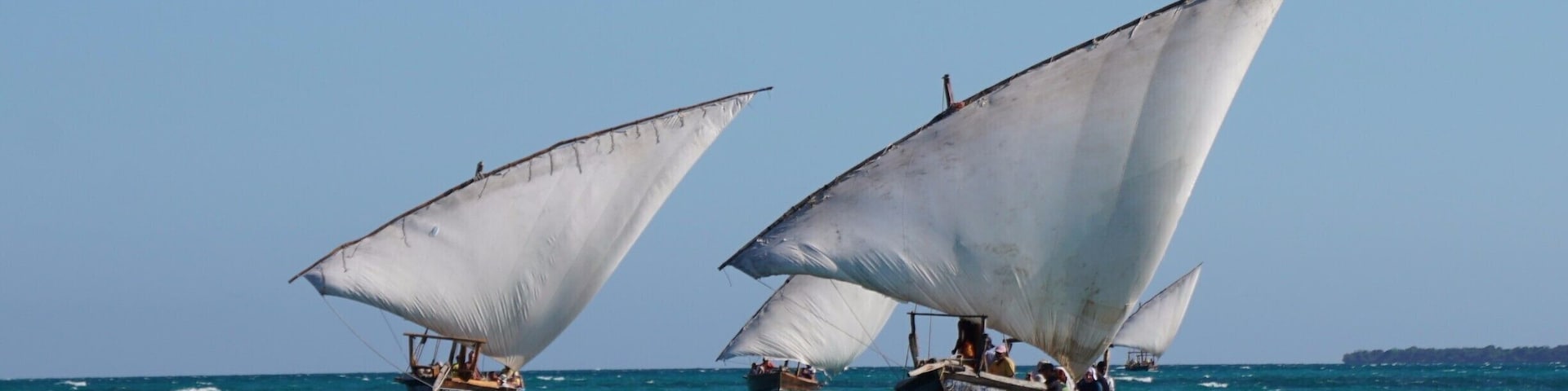 On the return trip from Menai Bay to Fumba, the sails are set on all the dhows, making for quite the sight.
