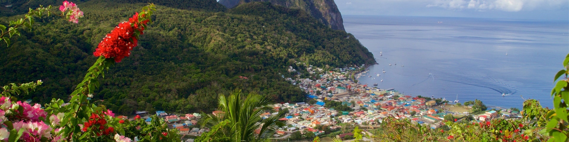 Gros Piton which includes general coastal views, wildflowers and mountains