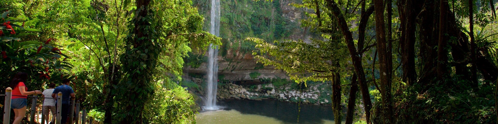 Uma cascata em uma floresta exuberante, com um lago na base.