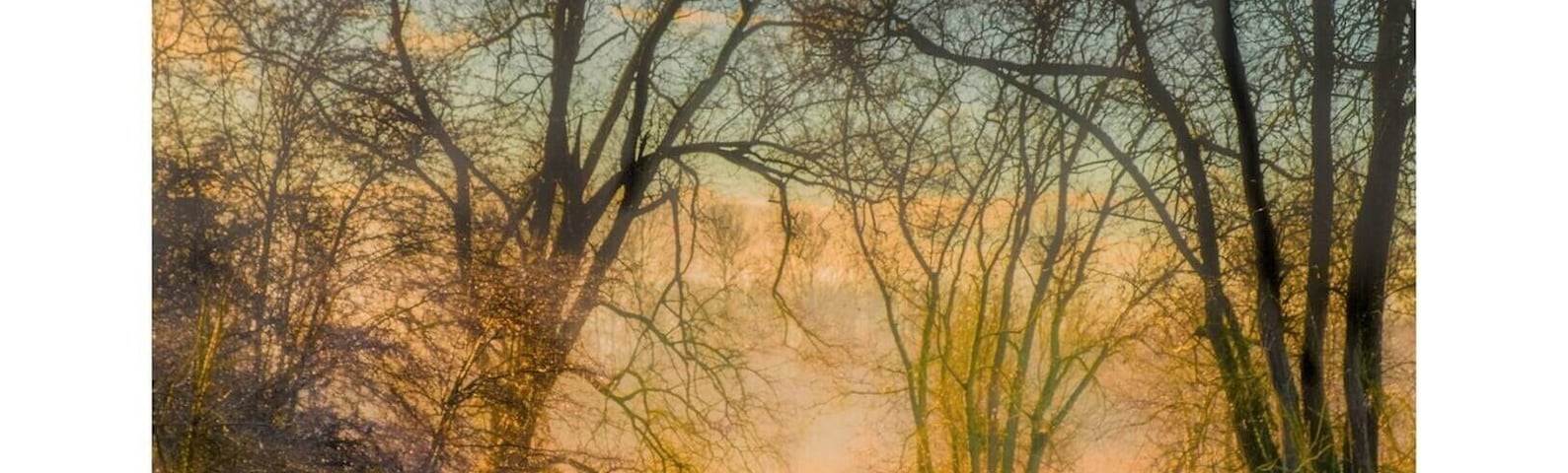 I was walking on the trail along Zuid Diljethal (South Dille Valley); a small river in the Flemish-Brabant Region of Belgium. Not far from Brussels.
The morning was beautifully misty and the rising sun provided a gorgeous light. Now I understand what the Old Masters saw as they painted their landscapes. #BvS100k
