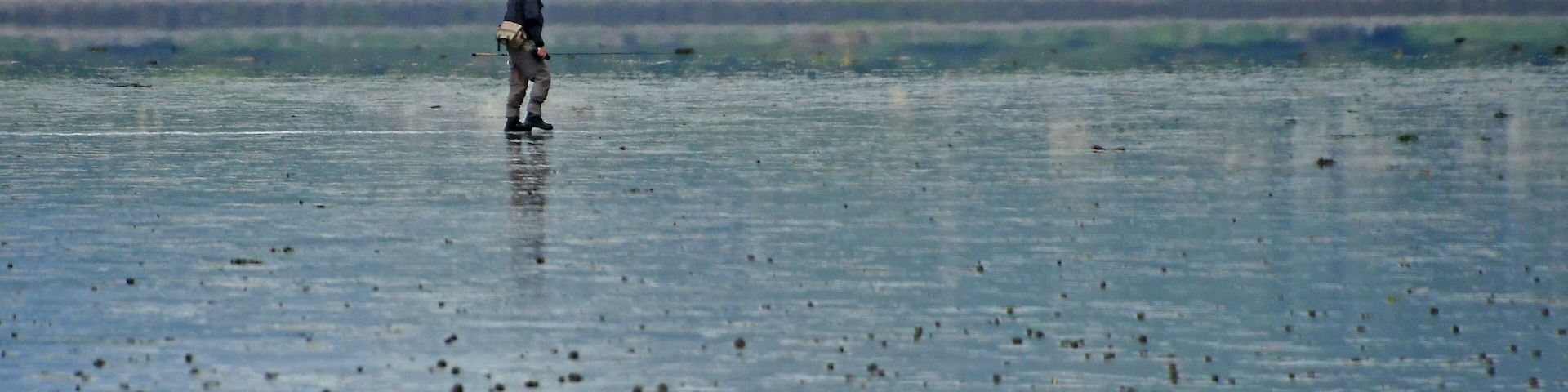 A couple days ago I posted a photograph of a car returning from Coney Island.  Here is a picture of a man walking home the same day. Remember there is no bridge to the island and the crossing can only be accomplished during low tide.