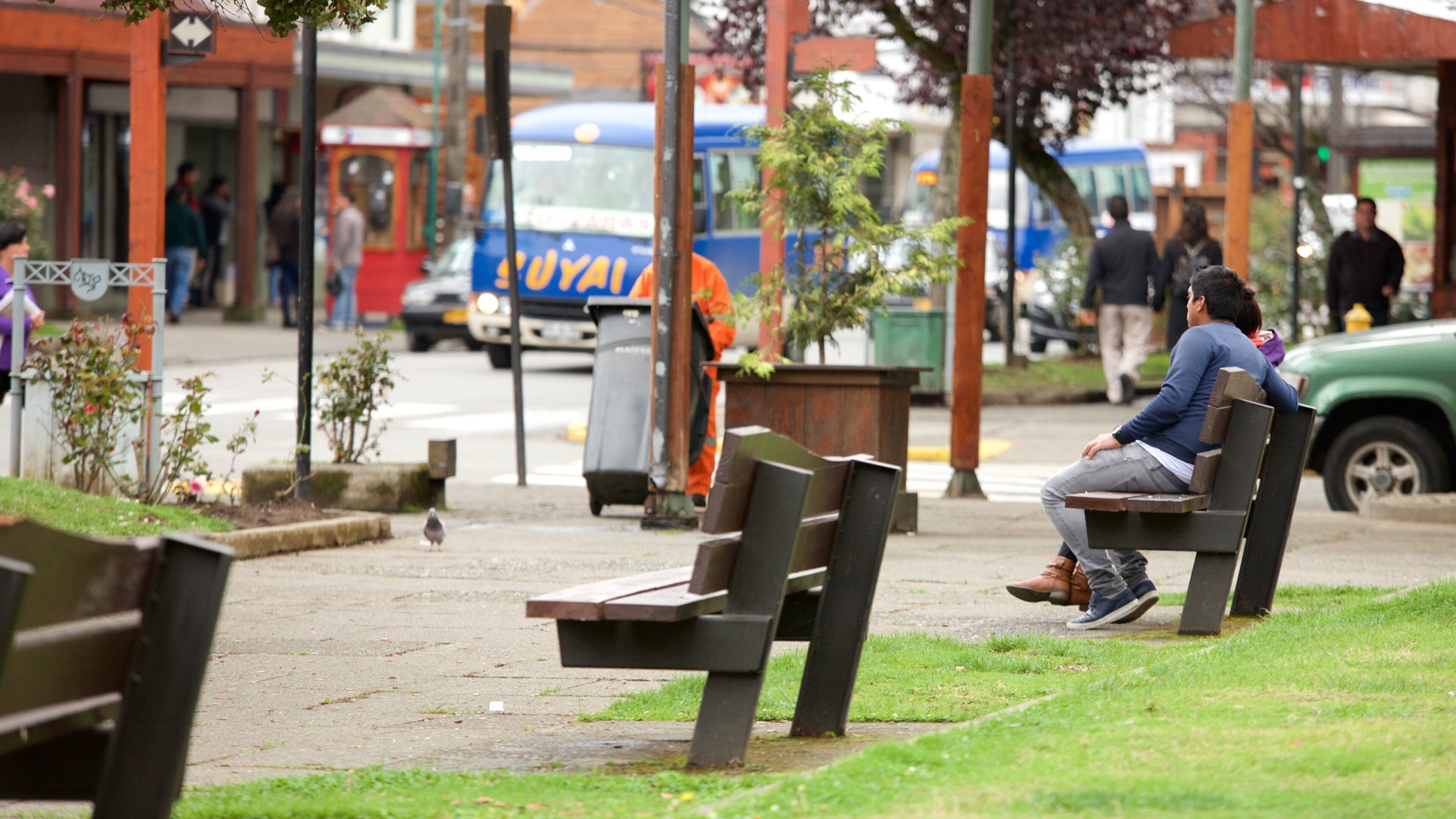 Puerto Varas Plaza de Armas showing a park as well as a small group of people