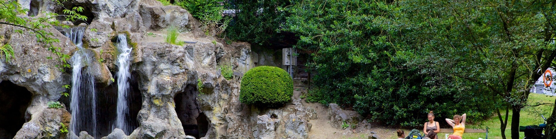 Citadel Park caracterizando um lago ou charco, um jardim e uma cachoeira