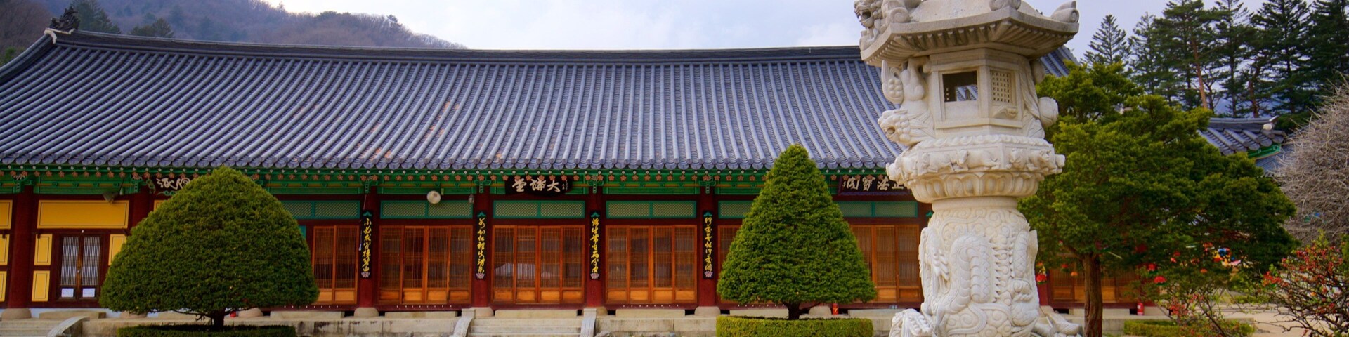 Um templo coreano tradicional com telhado de telhas, um candeeiro de pedra e árvores bem aparadas.