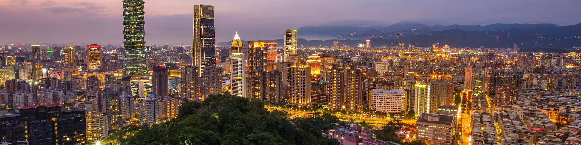 Elephant Mountain featuring night scenes, landscape views and a city