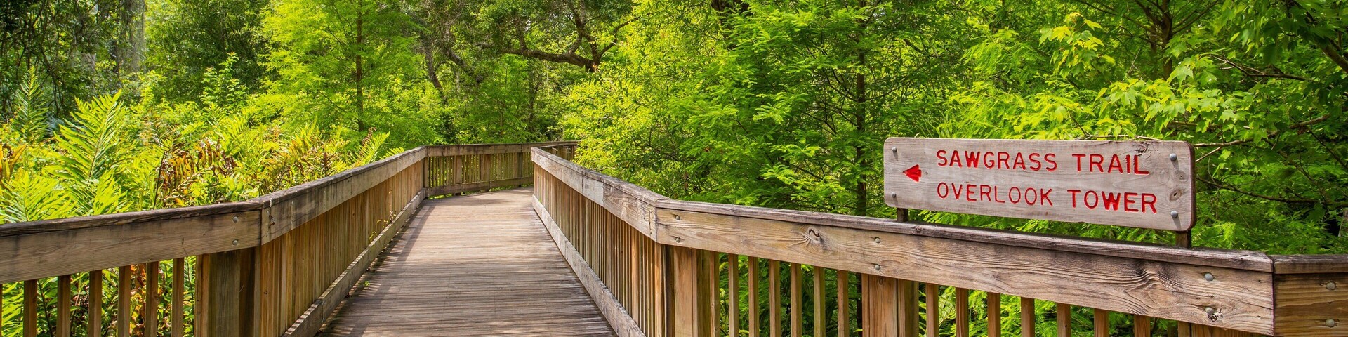 Sawgrass Lake Park which includes signage, a bridge and forest scenes