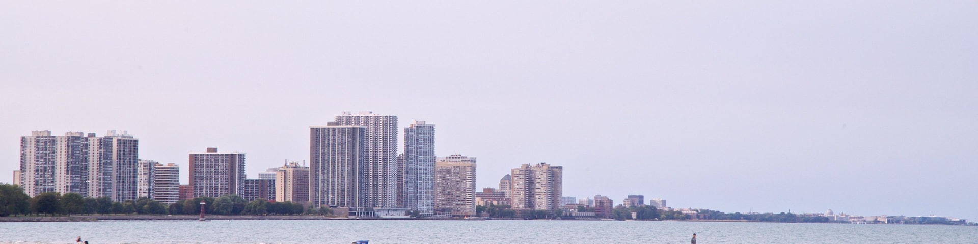 Montrose Beach which includes bird life, a beach and a coastal town