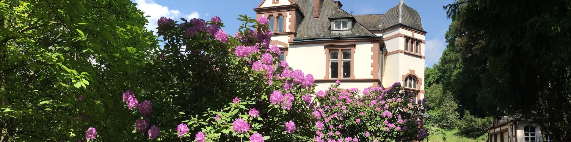 Villa Haas (Sinn) Rhododendron lined driveway to manor house and carriage house