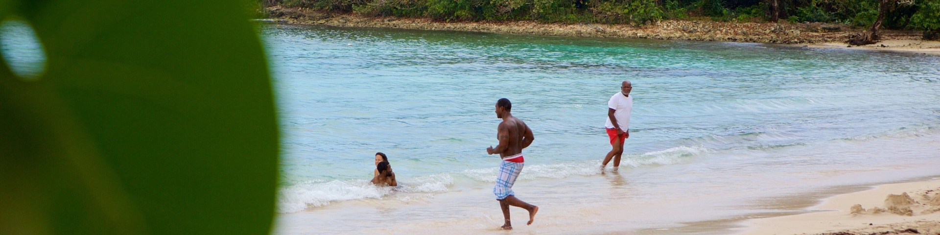 Winnifred Beach caracterizando uma praia assim como um pequeno grupo de pessoas