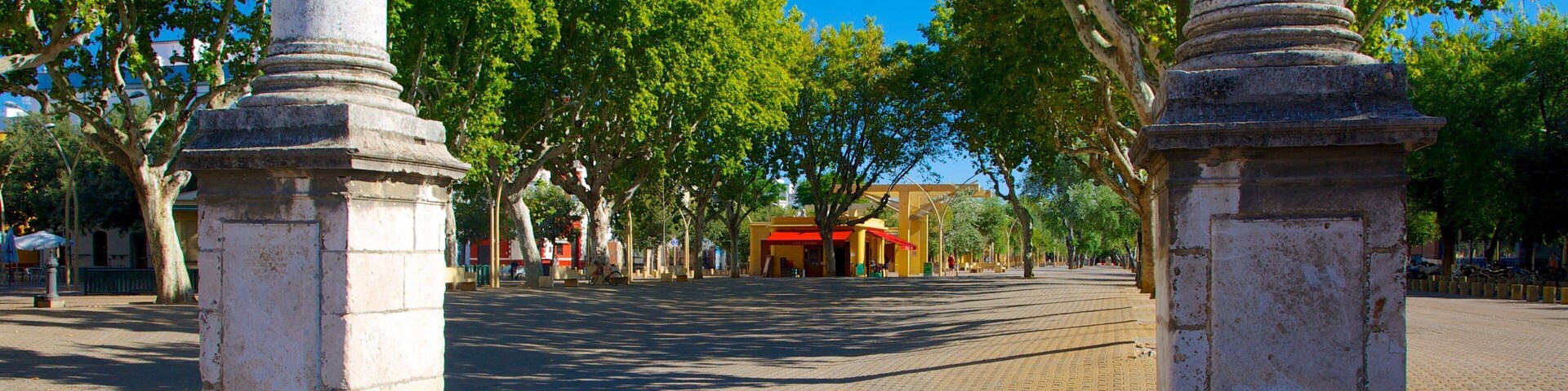 Plaza de la Alameda Square showing a square or plaza