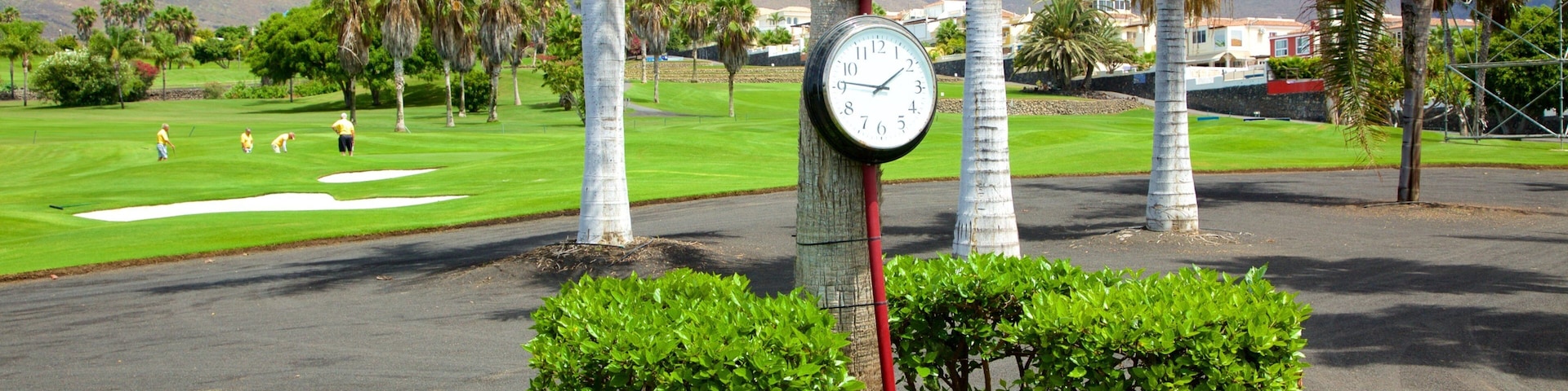 Golf Costa Adeje showing golf and tropical scenes