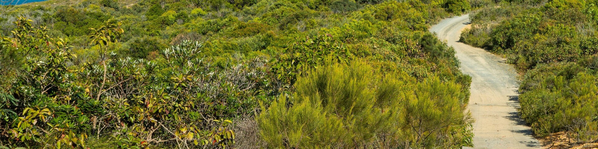 Byfield National Park featuring general coastal views