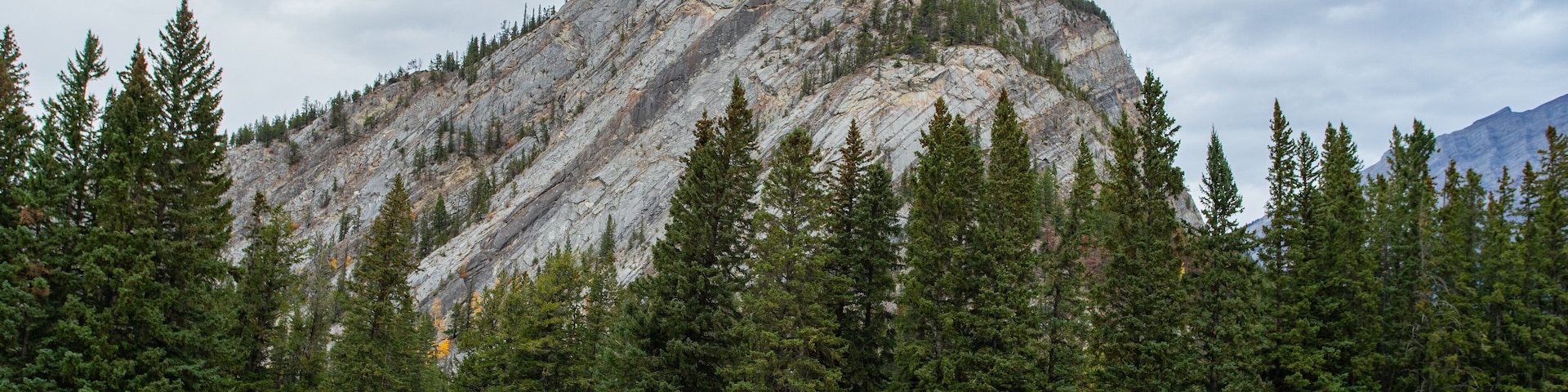 Banff Springs Golf Club which includes golf and mountains