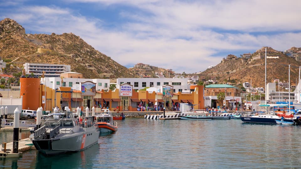 Uma marina com barcos atracados, um mercado chamado 'Marina Mercado', e edifícios numa encosta.