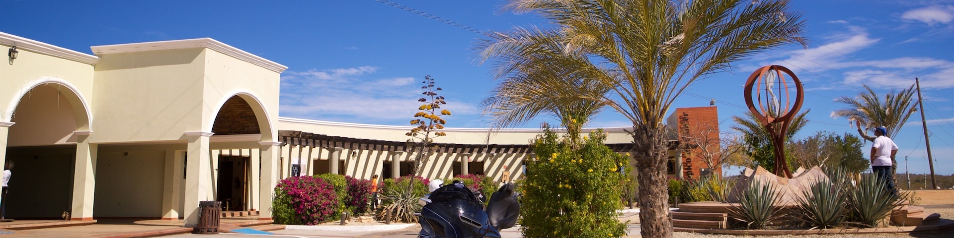 Tropic of Cancer Monument which includes a sandy beach