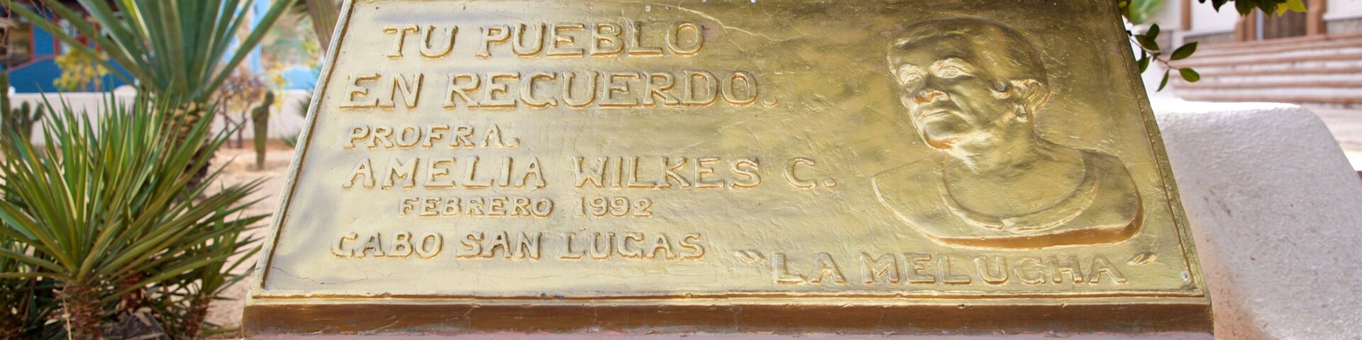 Amelia Wilkes Square