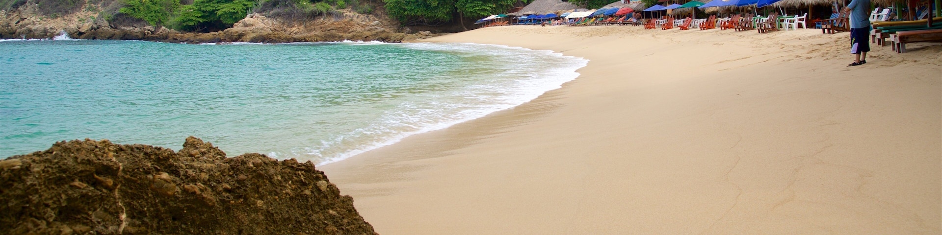 Carrizalillo Beach featuring a sandy beach and general coastal views