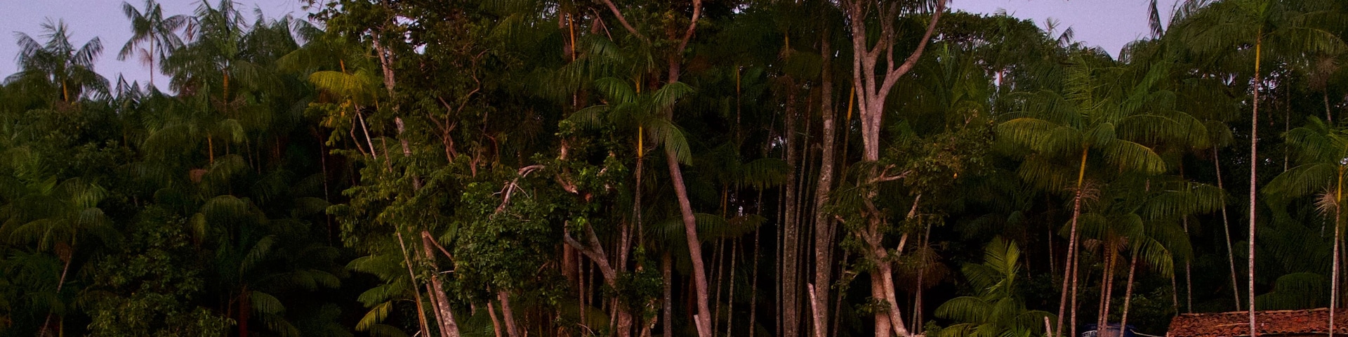 Pre-dawn photo at Ilha dos Papagaios (Parrot Island) near Belém, Brazil.
