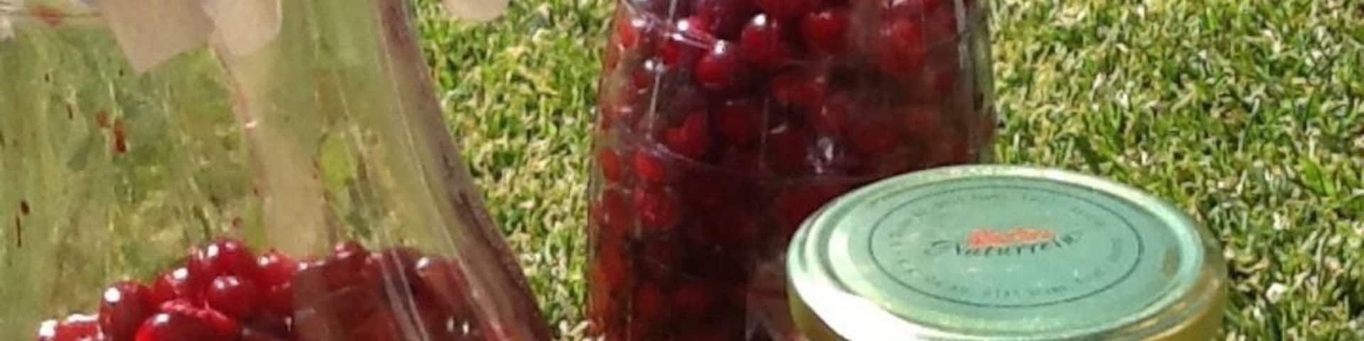 Sour cherries, you can find them in Italy in the summer time and you will often see jars of them out in the sun. If you are lucky enough to stay at an agriturismo with these beautiful fruit. Pick as many as you can, jar them, add sugar if you like and let them sit in the sun for a day or two. The end result is delicious on its own or as a topping for ice cream or plain white cake. You're welcome! #roadtrip #Delicious Photo Challenge http://www.acooknotmad.com/2012/07/life-at-pascianella-agriturismo.html