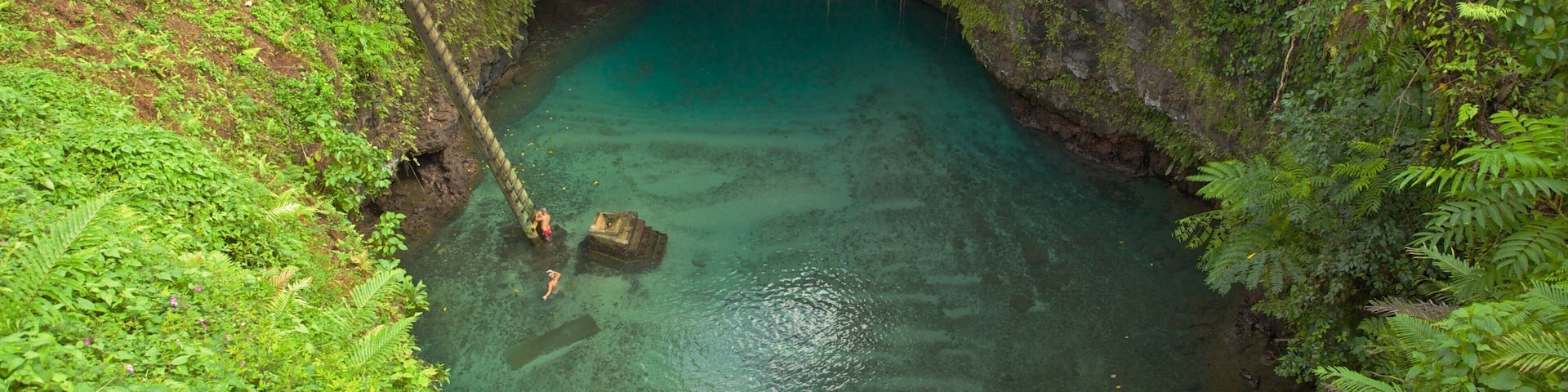 Upolu showing rainforest, swimming and a lake or waterhole