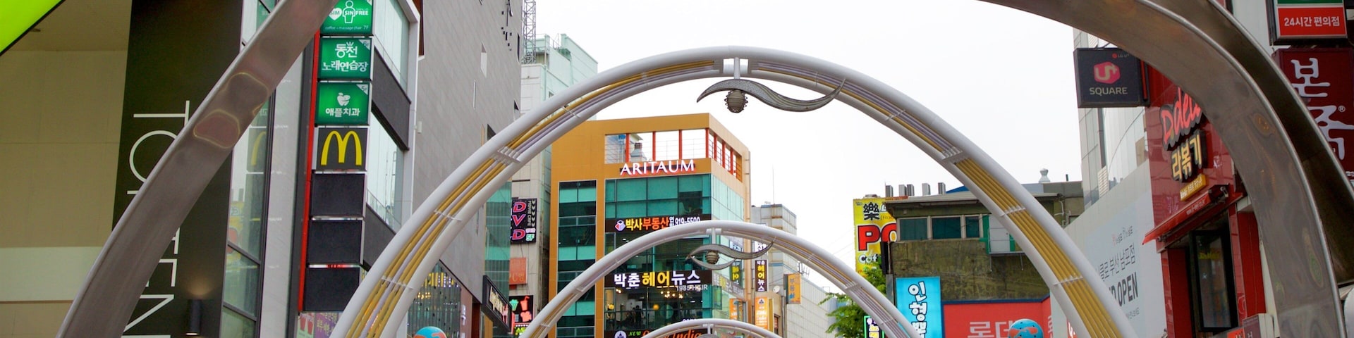 BIFF Square showing a city, signage and central business district
