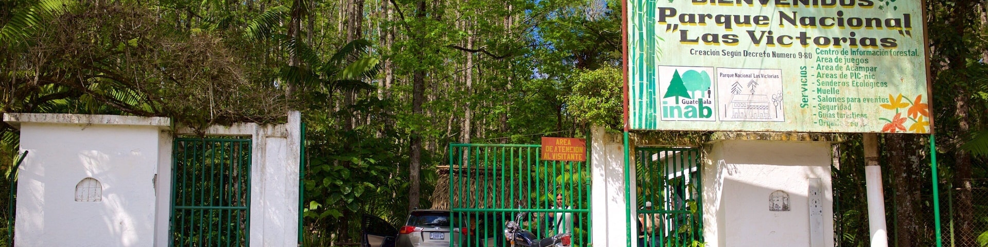 Las Victorias National Park showing rainforest and signage