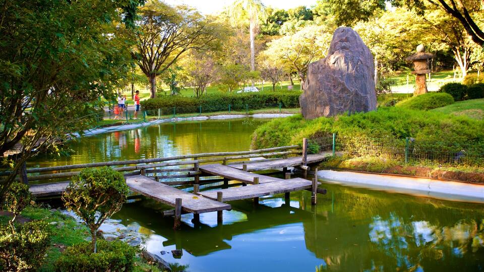 Jardim Japonês que inclui um lago e um parque