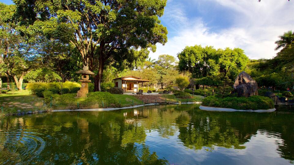 Jardim Japonês caracterizando um parque e um lago