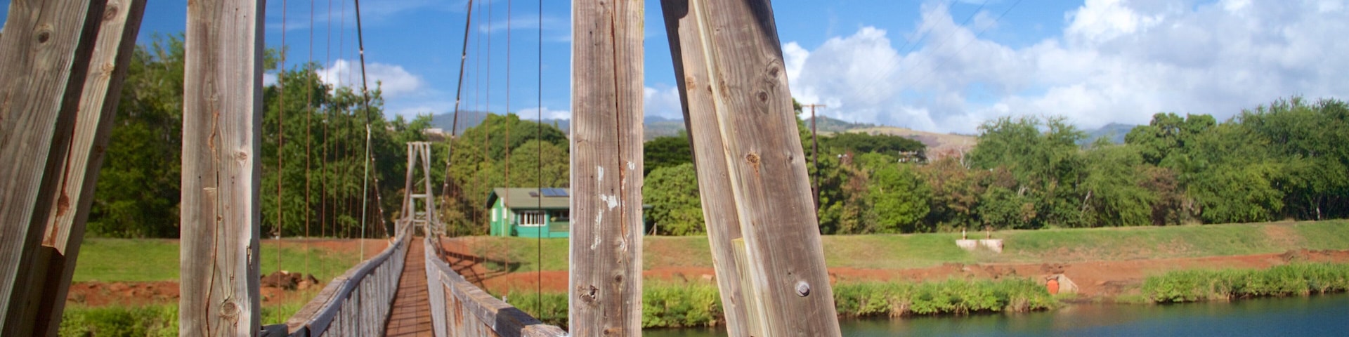 Swinging Bridge featuring a lake or waterhole and a suspension bridge or treetop walkway