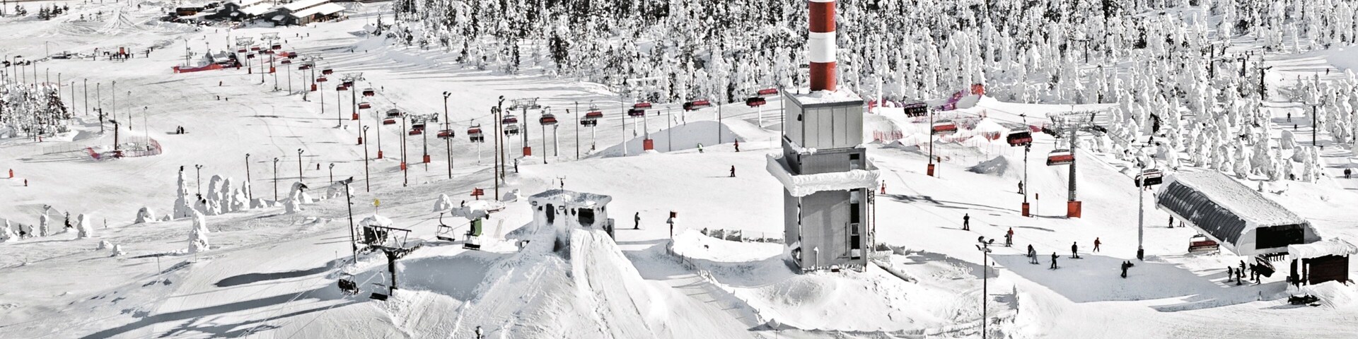 Ruka Ski Area showing snow and forests