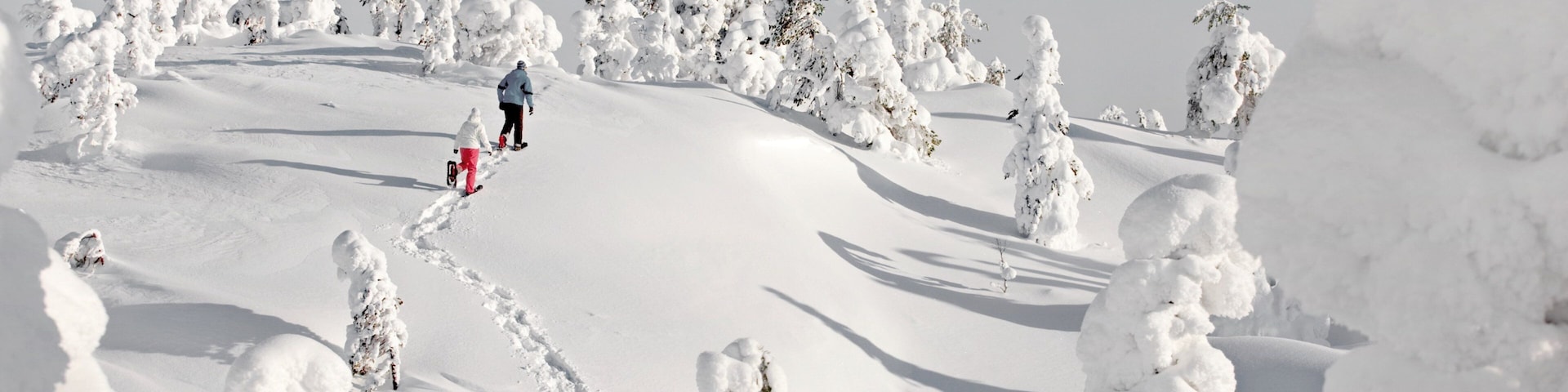 Ruka Ski Area which includes snow, snow shoeing and hiking or walking
