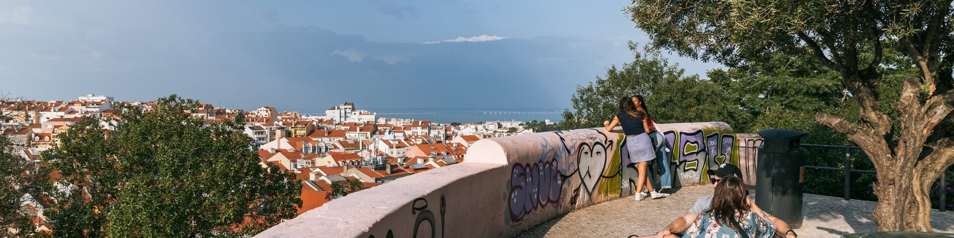 Paisagem urbana com vista para o mar, uma parede curva com grafites e uma árvore.