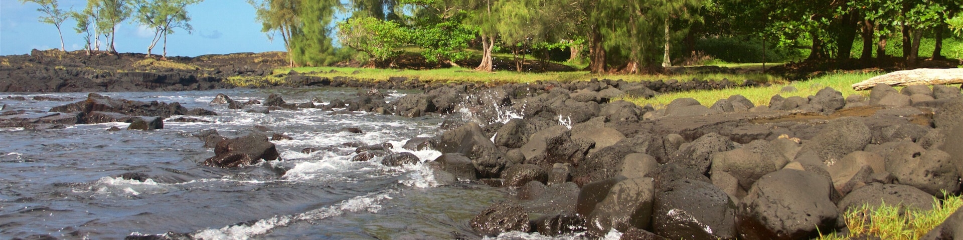 Keaukaha Beach Park which includes general coastal views and rugged coastline