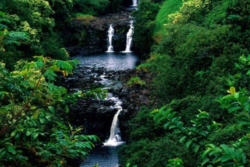 Uma cascata em meio a uma floresta verdejante.