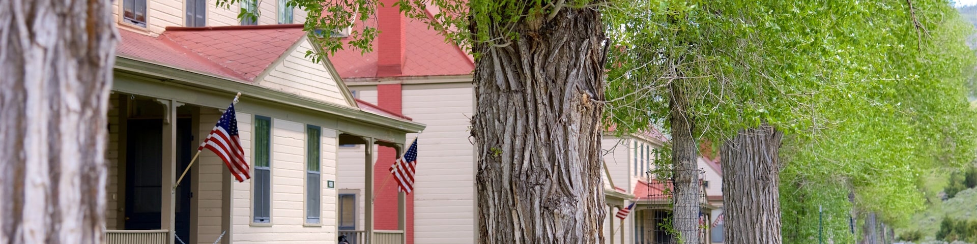 Uma fileira de casas históricas com bandeiras americanas, cercada por árvores verdes exuberantes e um gramado bem cuidado.