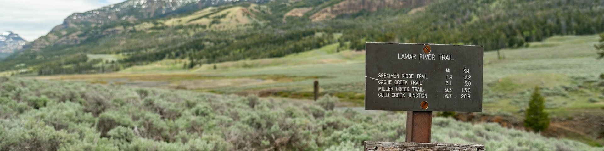 Placa indicativa com distâncias para vários pontos: Trilha Specimen Ridge (2,2 km / 1,4 mi), Trilha Cache Creek (5,0 km / 3,1 mi), Trilha Miller Creek (15,0 km / 9,3 mi) e Junção do Riacho Cold (26,9 km / 16,7 mi).