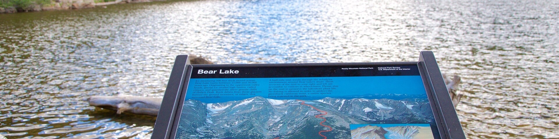 Um mapa do Lago Bear, com margens rochosas e um cenário arborizado.