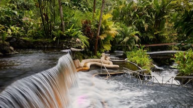 Uma cascata em um jardim tropical exuberante, com uma ponte de pedra.