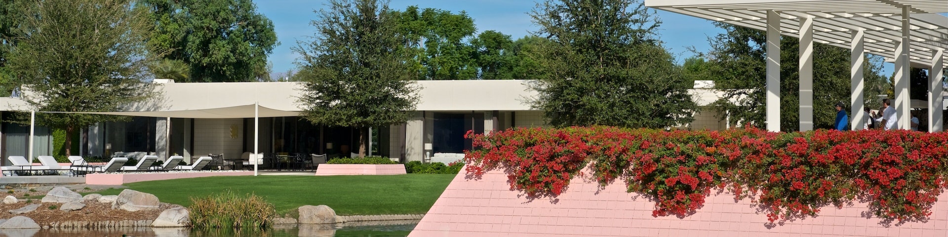Sunnylands Center and Gardens which includes a lake or waterhole and wildflowers