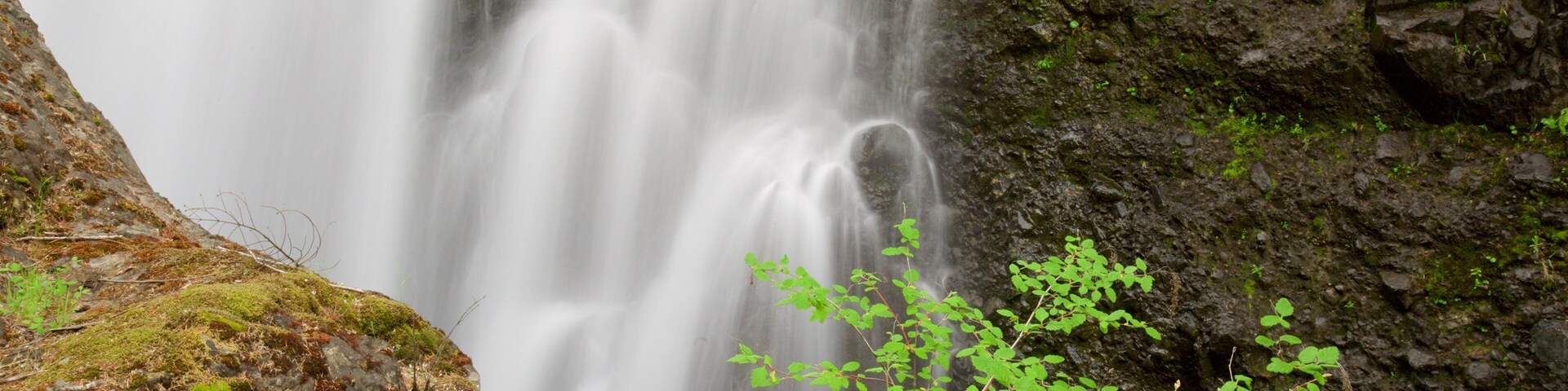 Englishman River Falls Provincial Park showing a waterfall