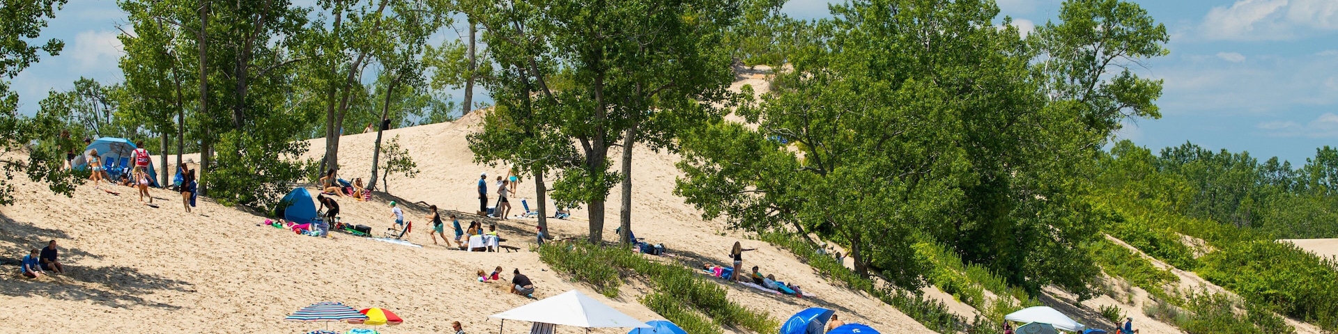 Uma praia com pessoas se banhando e tomando sol, cercada por árvores e dunas de areia.