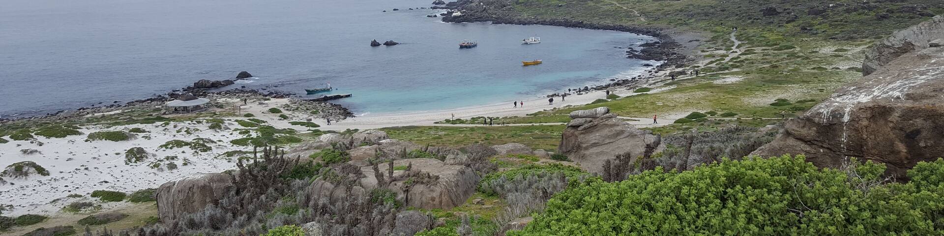 Just off the coast of Chile