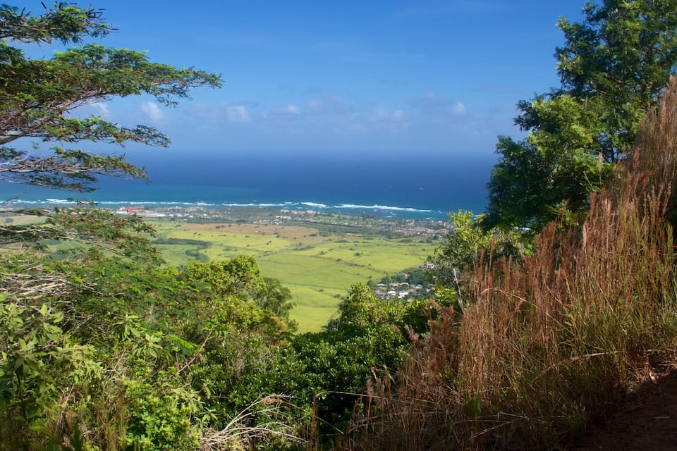 Paisagem costeira com vista para o oceano, campos verdes e vegetação densa.