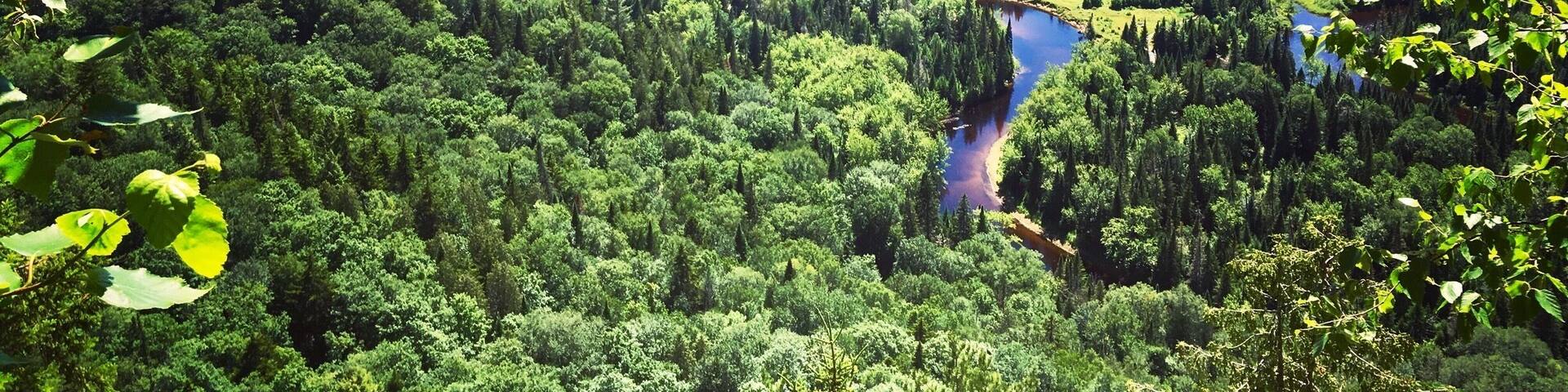 View of the "rivière du diable" from the Via Ferrata. Just 2 hours drive from Montreal. #quebec #nature #green #lifeatexpedia