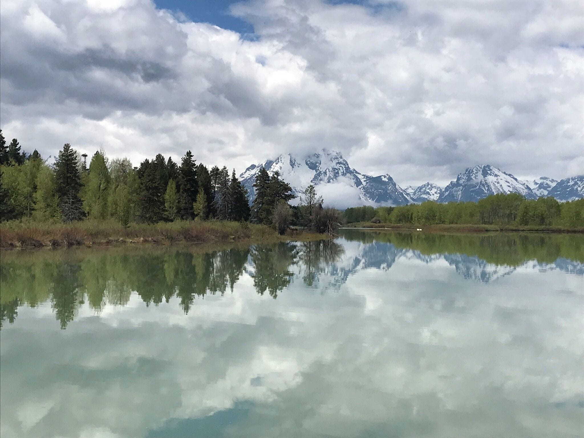 Oxbow Bend in the Grand Tetons was hands down the most stunning place we found in the park! Although we didn’t personally spot any wildlife here, we heard this is a popular place to watch for moose, river otters and bears. Try your best luck at dawn and dusk. #Wyoming #GrandTeton #NationalPark