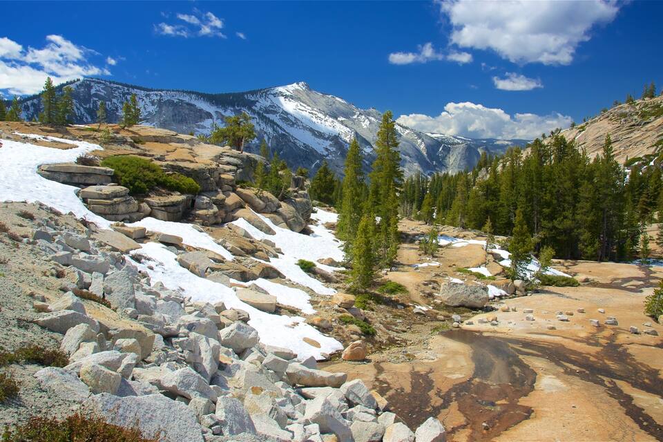 Paisagem montanhosa com neve, terreno rochoso e árvores de coníferas.