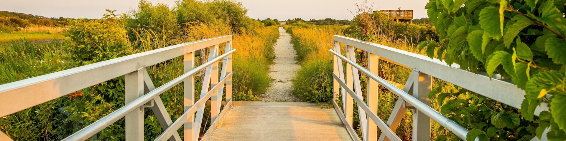 South Cape May Meadows featuring a bridge, a sunset and tranquil scenes