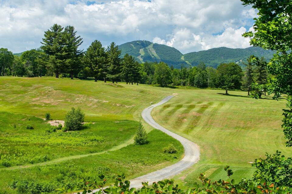 Uma estrada sinuosa serpenteando por um campo verdejante com árvores e montanhas ao fundo.