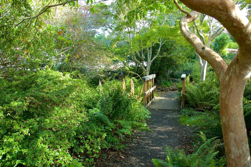 Um caminho arborizado com uma ponte de madeira.