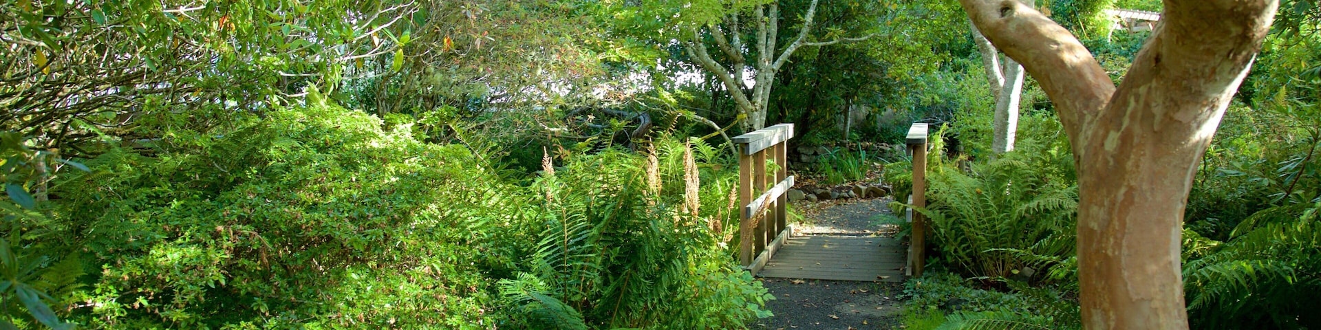 Connie Hansen Garden caracterizando floresta tropical e um parque